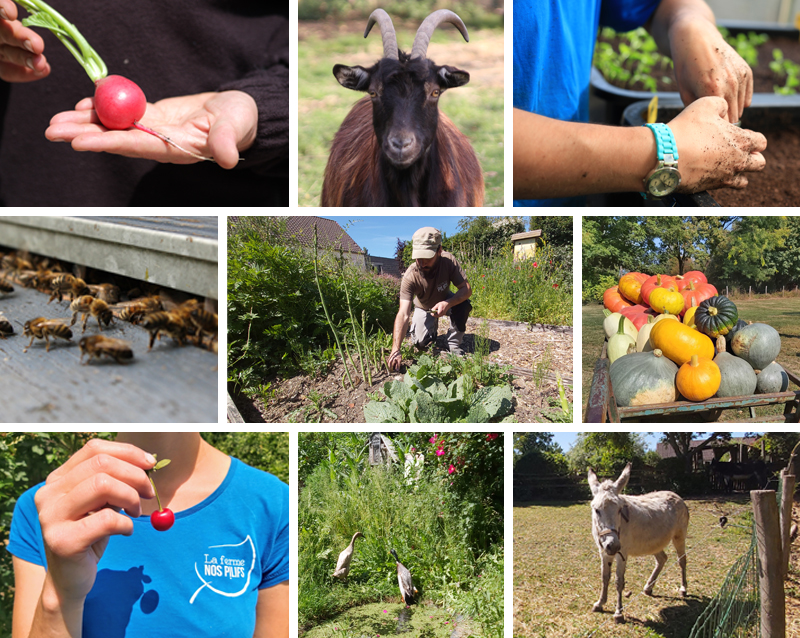 Visites guidées à La Ferme Nos Pilifs