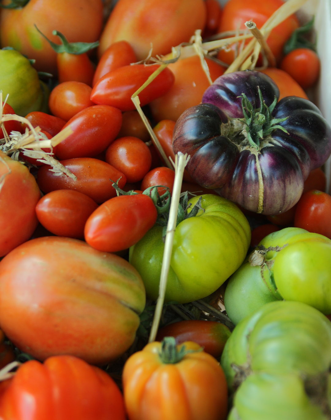 Notre parc - La Ferme Nos Pilifs