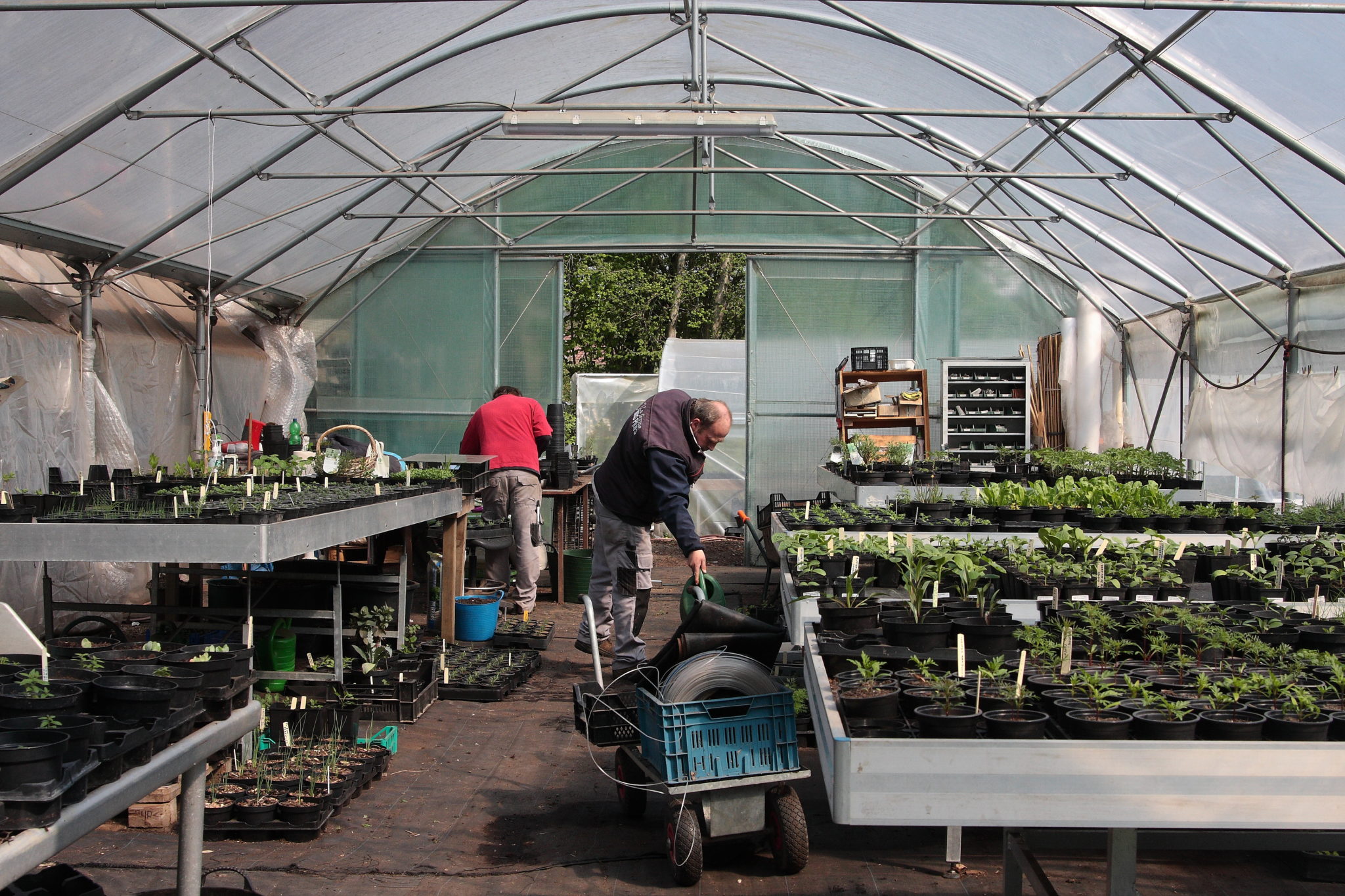 ICI ON SEME ... - La Ferme Nos Pilifs