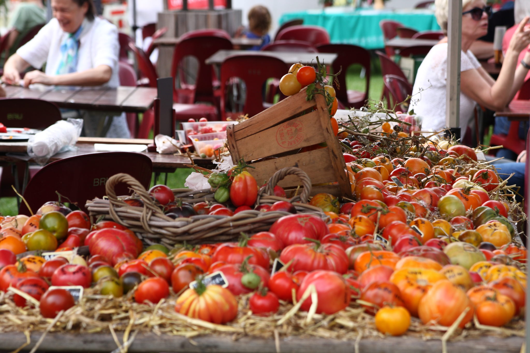 LA FÊTE DE LA TOMATE ?! VRAIMENT ? - La Ferme Nos Pilifs