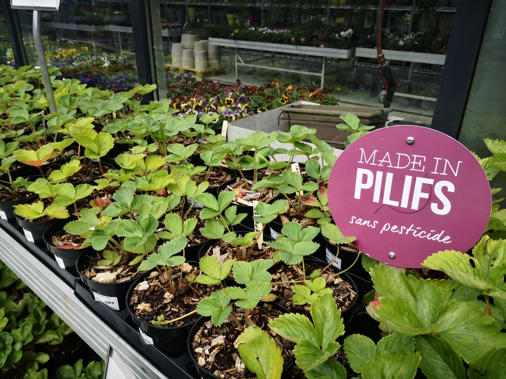 Made In Pilifs - La Ferme Nos Pilifs