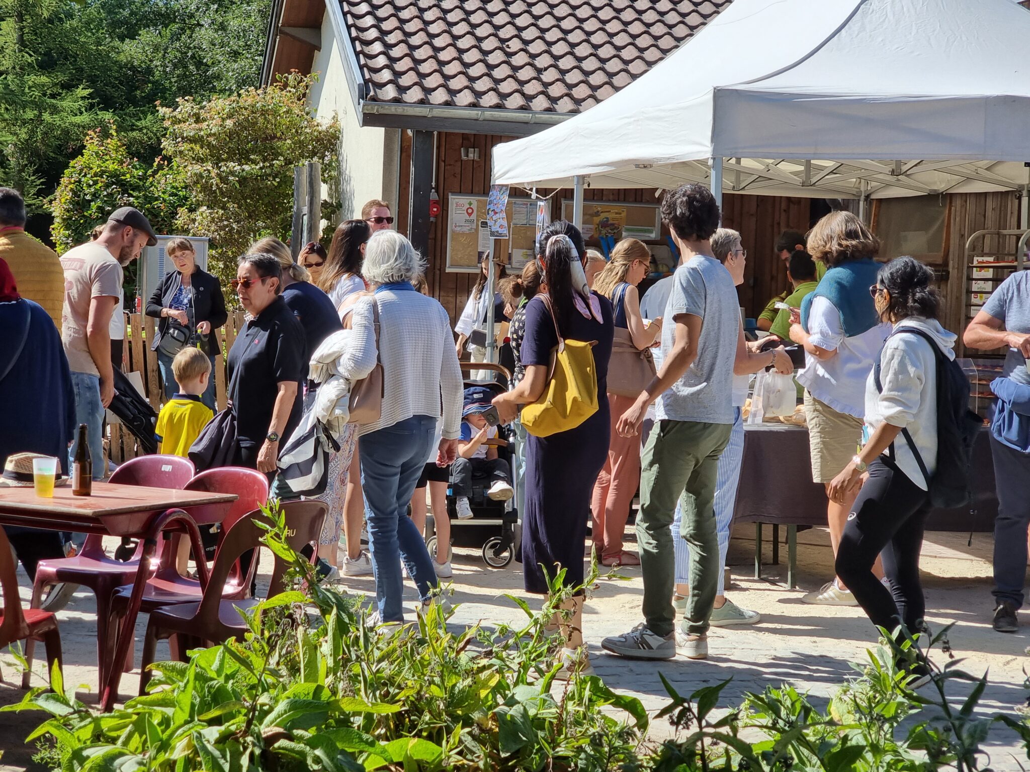 RETOURS TOMATÉS - La Ferme Nos Pilifs