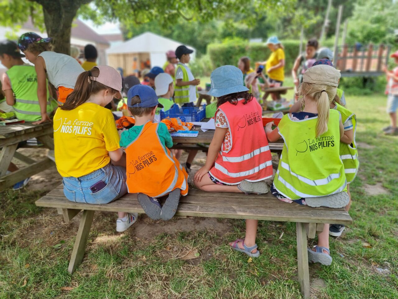 La Ferme Nos Pilifs - Nous cultivons un monde de différences